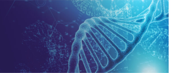 Healthcare Data Analytics Platform (HDAP) - Apexon